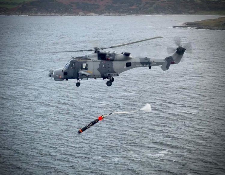 O início de uma nova fase operacional do Wildcat em 2024 – Defesa Aérea ...