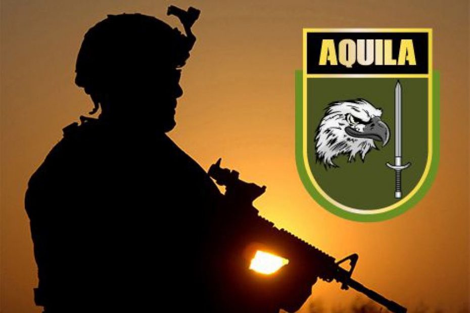 AQUILA> Primeira empresa de segurança privada brasileira abre suas ...